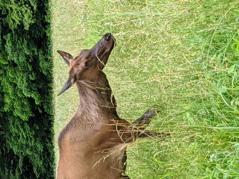 [NB] Josh's Stock-ish Crystal Blue NB - Page 6 - MX-5 Miata Forum